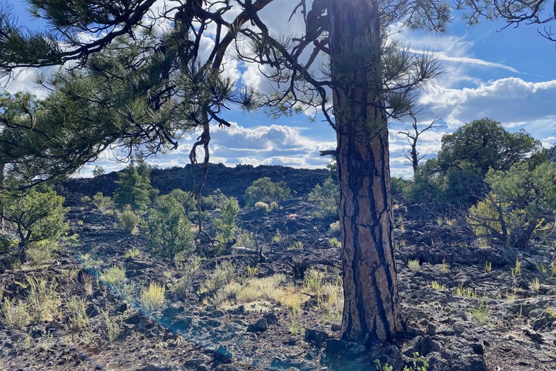 Fun and unusual places in New Mexico | Always Want To Go