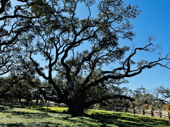 Six great things to see in Rockport | Always Want To Go